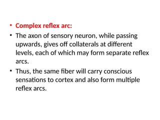 REFLEX.pptx FOR 1ST YEAR PHYSIOLOGY .... | PPTX