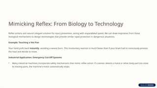 Reflex-Action-and-Real-World-Application-A-STEM-Project (1).pptx