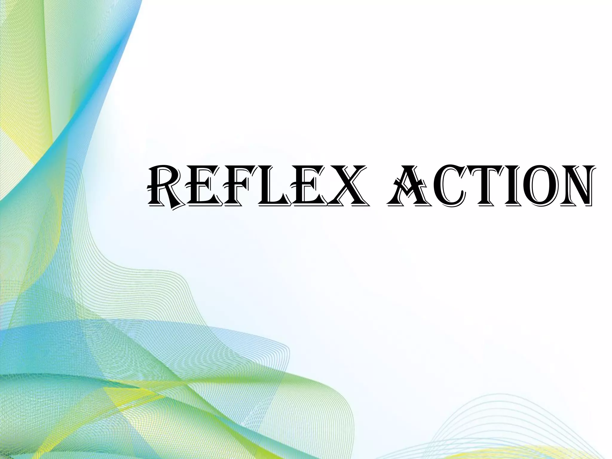 Reflex action | PDF