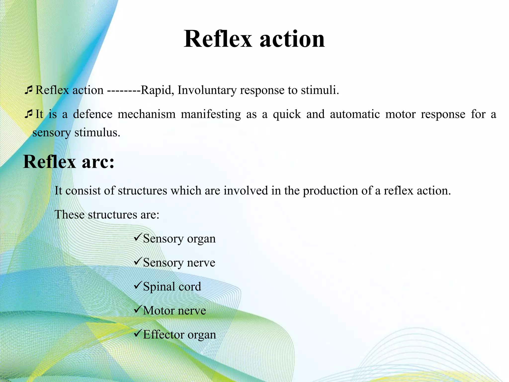 Reflex action | PDF