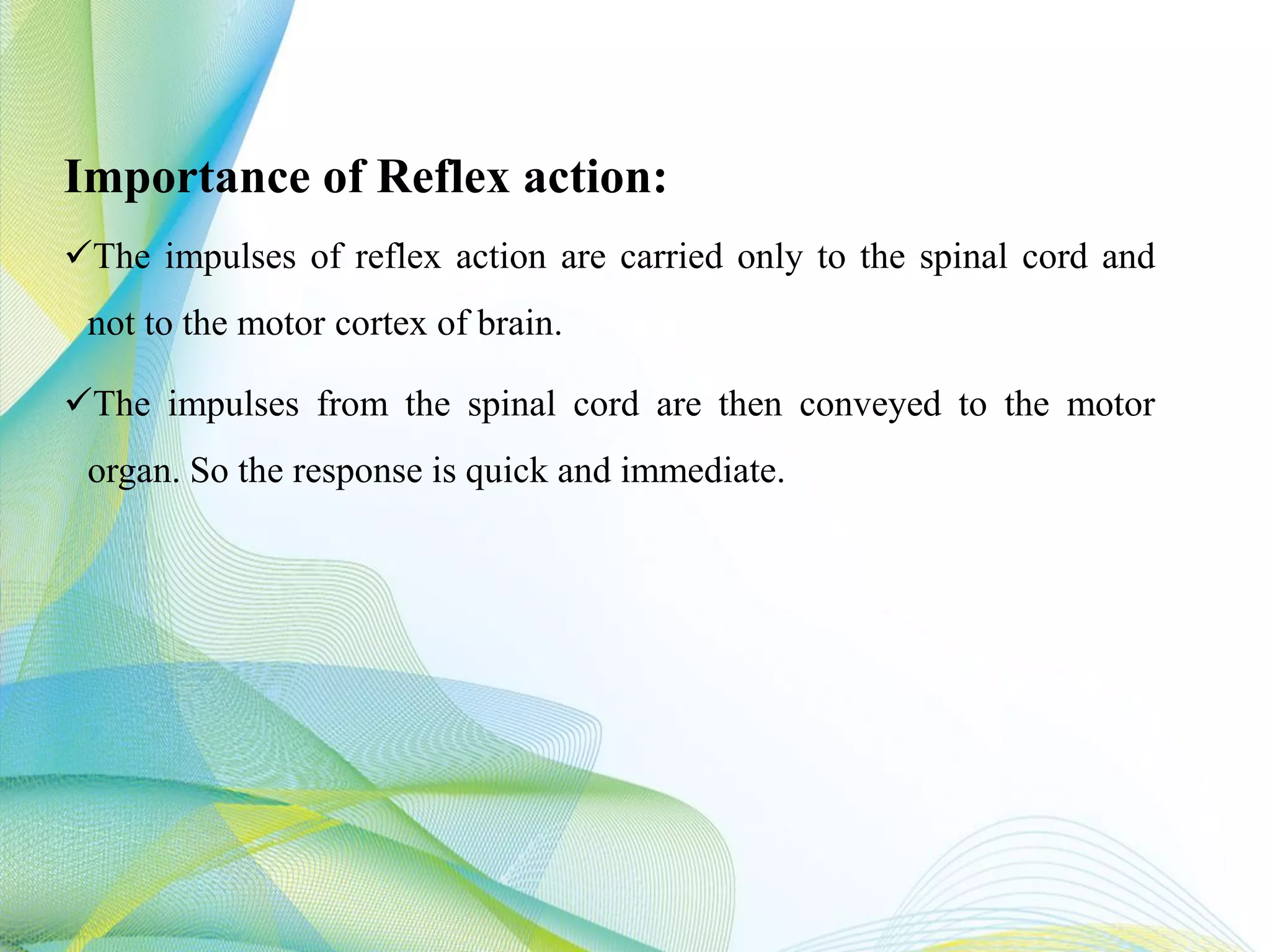 Reflex action | PDF
