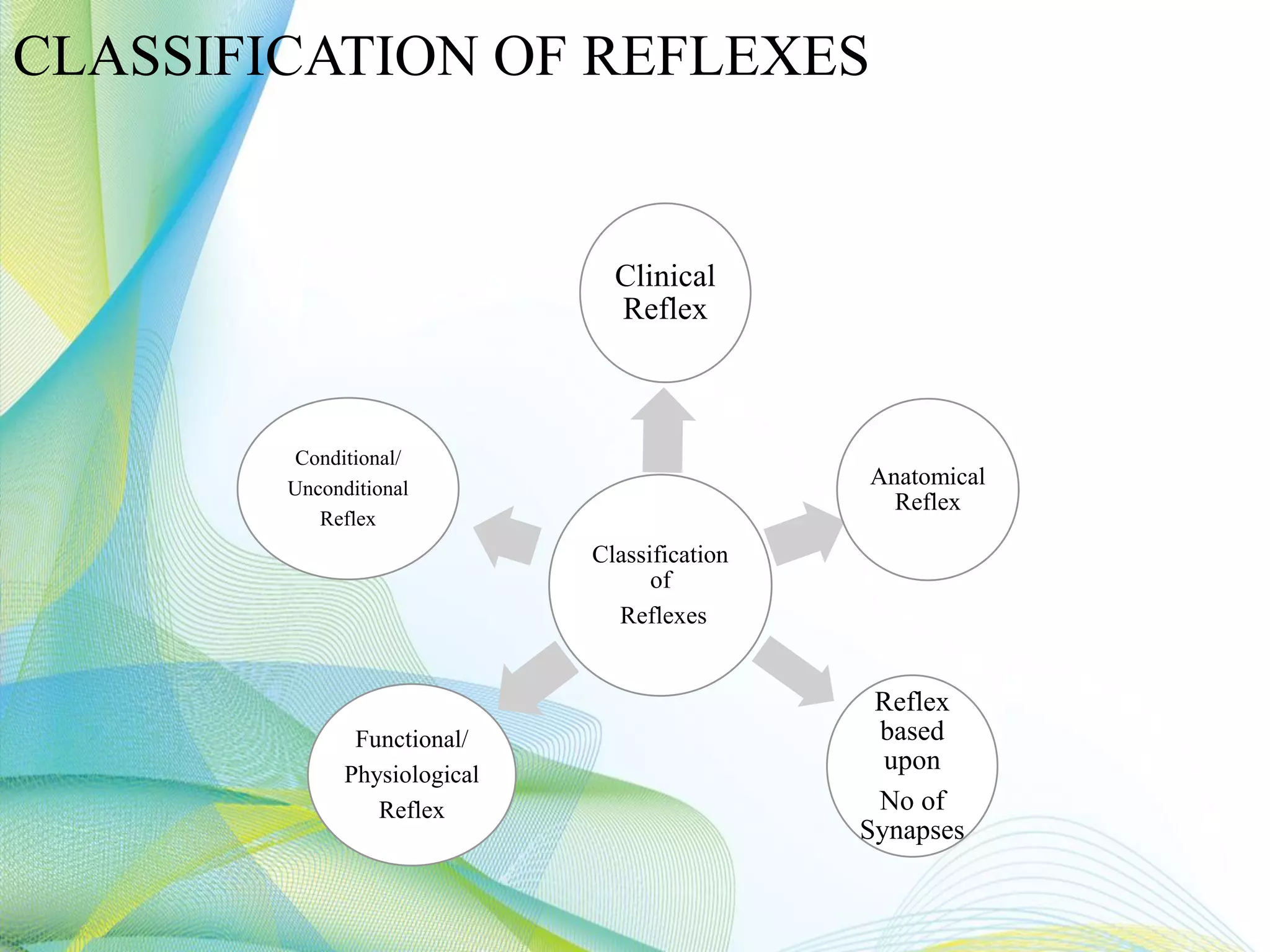 Reflex action | PDF