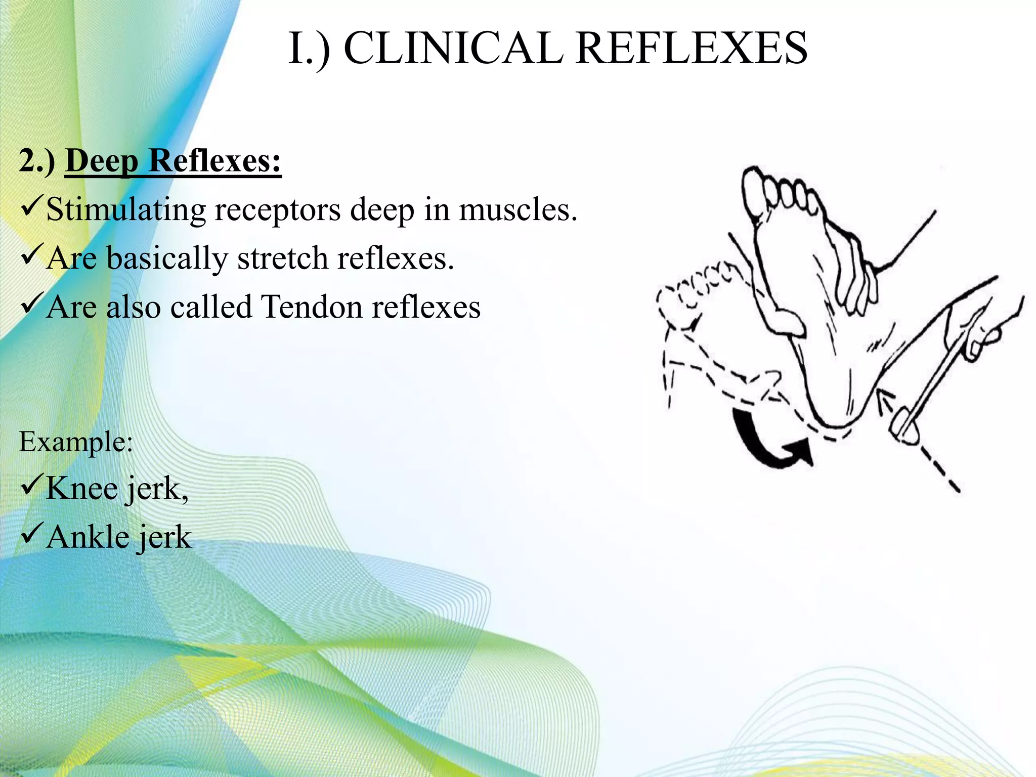 Reflex action | PDF