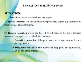 Reflex action | PDF