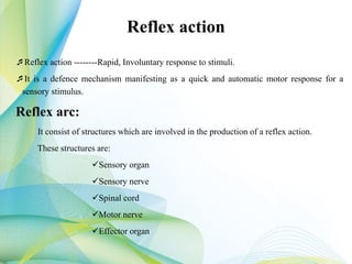 Reflex action | PDF
