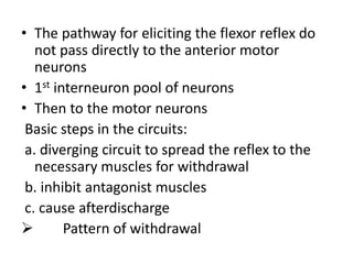 Reflex action and reflexes.pptx