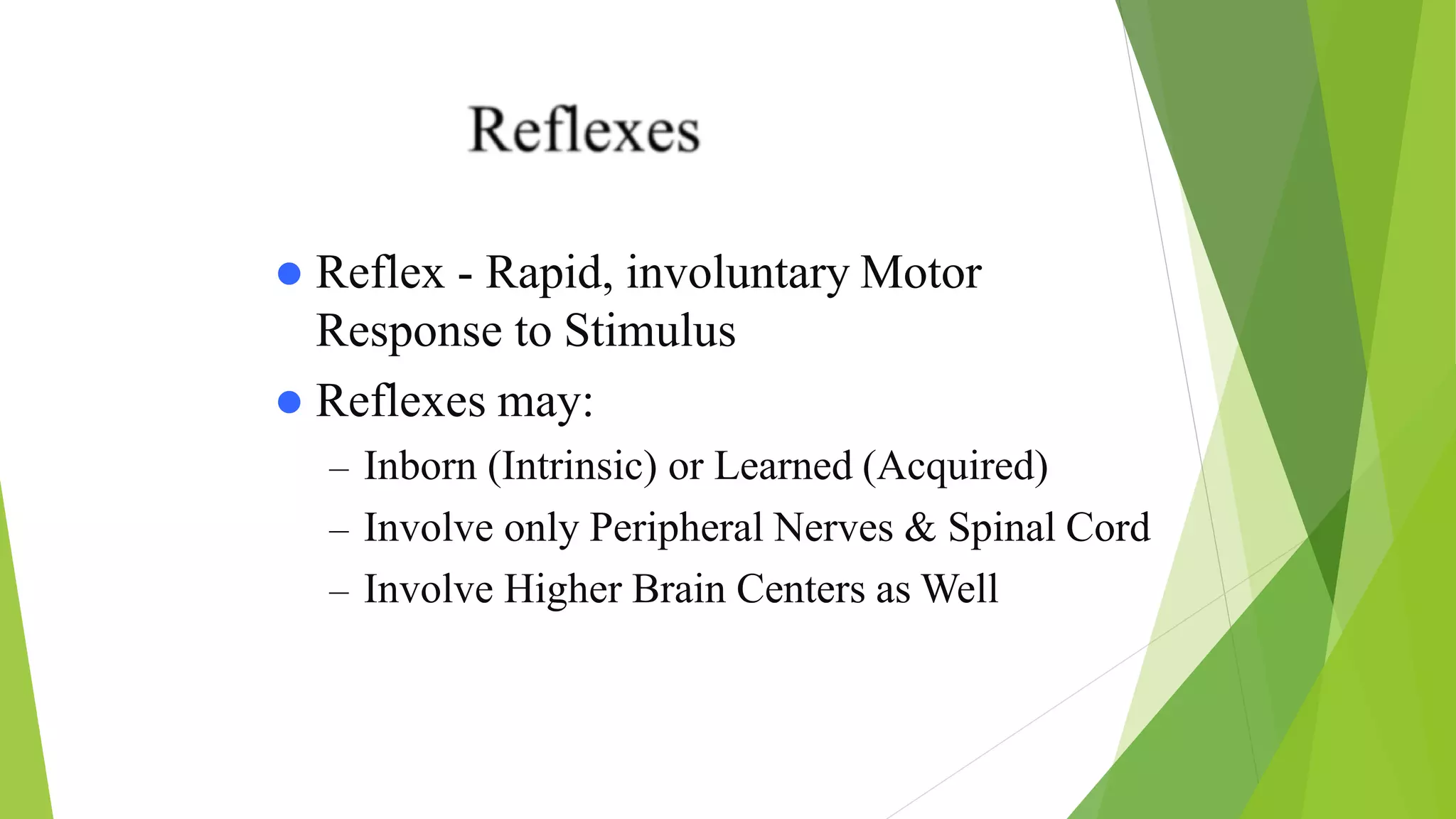 REFLEX ACTION & AUTONOMIC NERVOUS SYSTEM.pptx