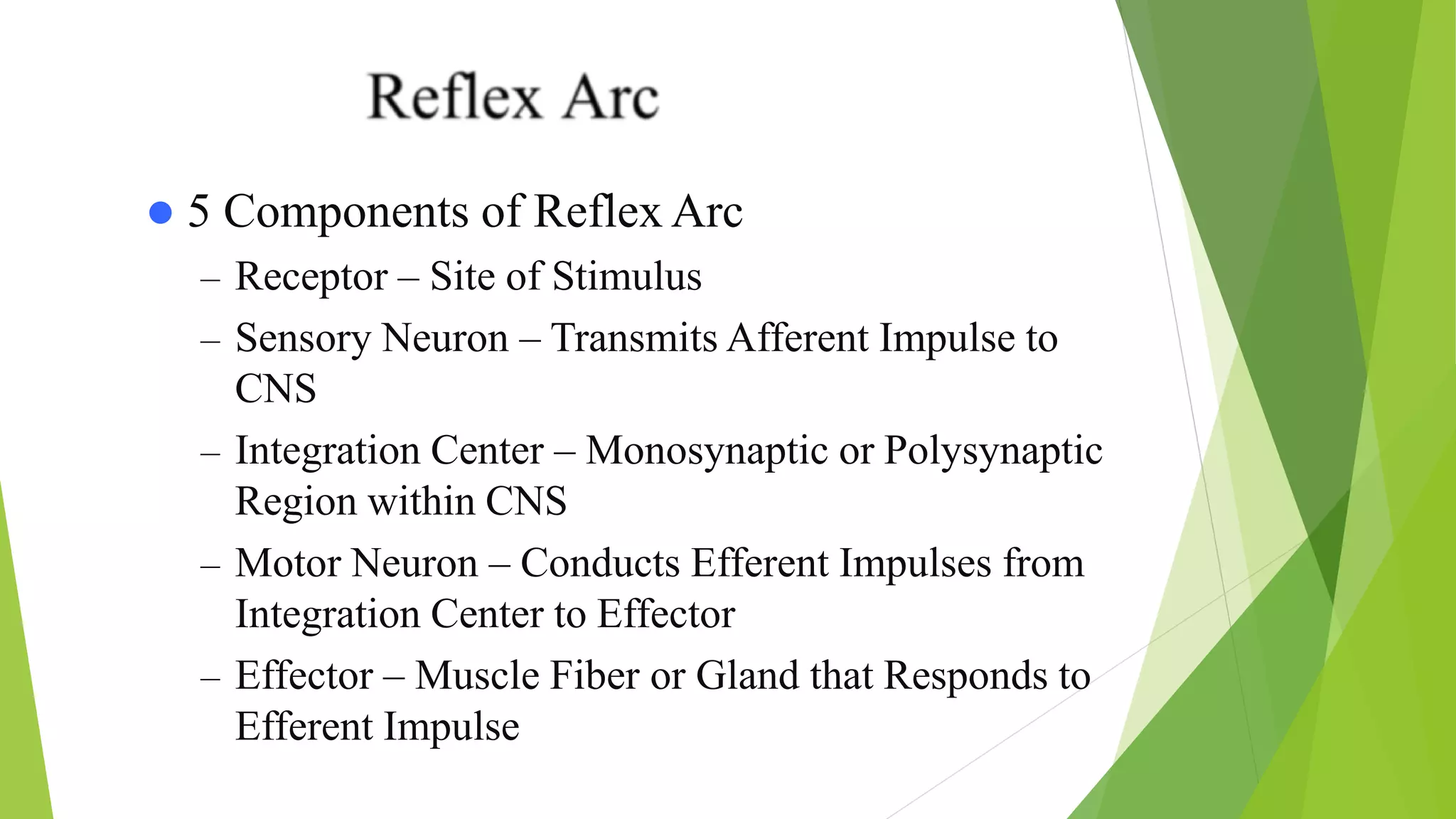 REFLEX ACTION & AUTONOMIC NERVOUS SYSTEM.pptx