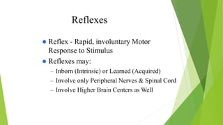 REFLEX ACTION & AUTONOMIC NERVOUS SYSTEM.pptx