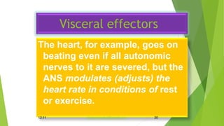 REFLEX ACTION & AUTONOMIC NERVOUS SYSTEM.pptx