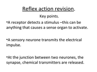 Reflex Action Revision | PPT