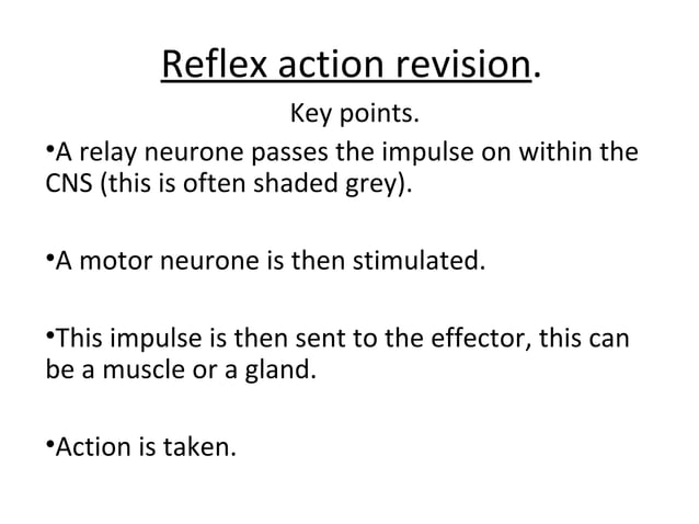 Reflex Action Revision | PPT