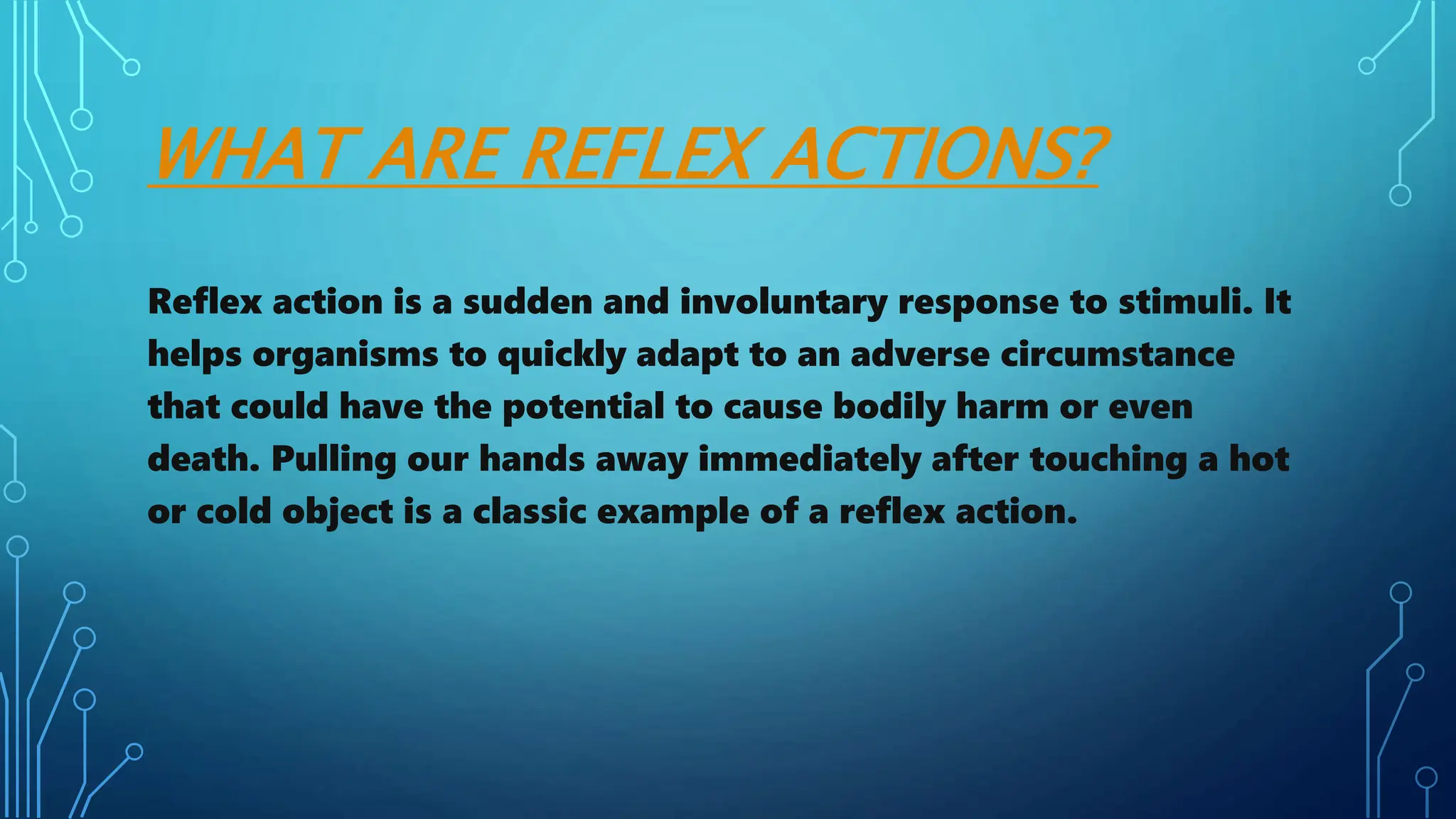 Reflex Actions.pptx