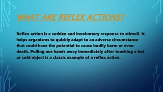 Reflex Actions.pptx