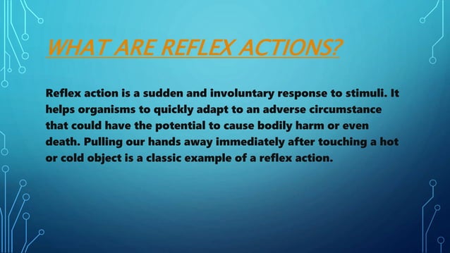 Reflex Actions.pptx