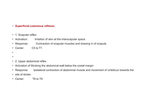 REFLEX _ACTIVITY_COMPONENTS_TYPES_TISSUES.pptx