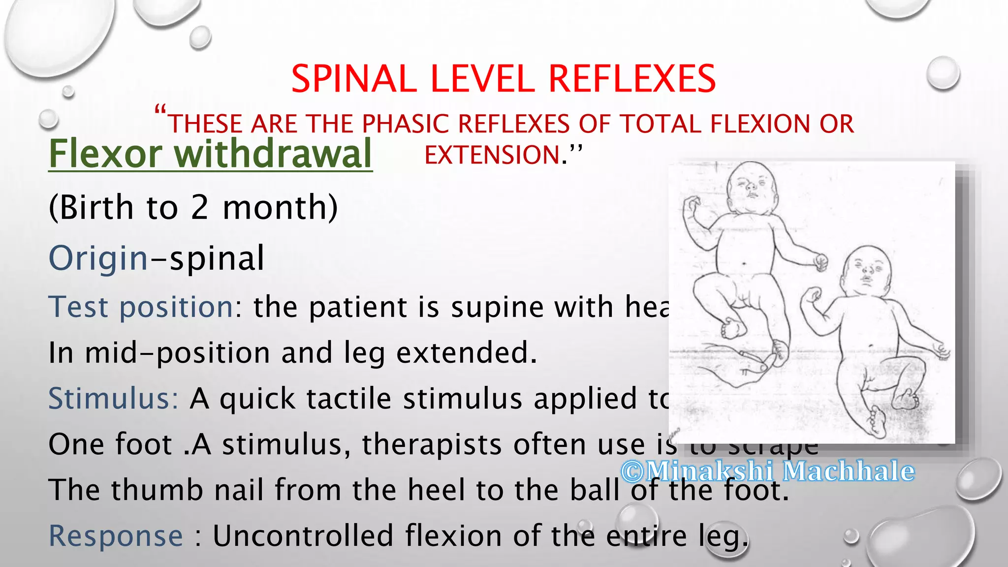 Reflex and reaction maturation | PPTX