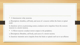 Reflex arc(Neurology) | PPTX