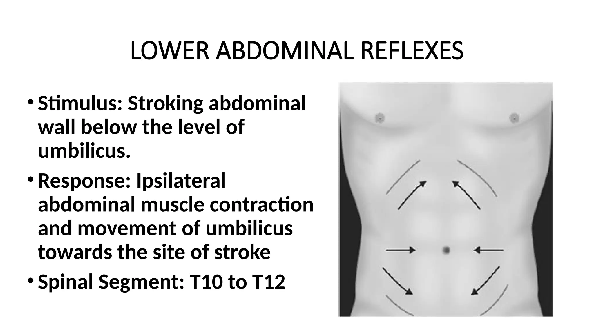 REFLEX- ARC, GRADING AND ASSESSMENT.pptx