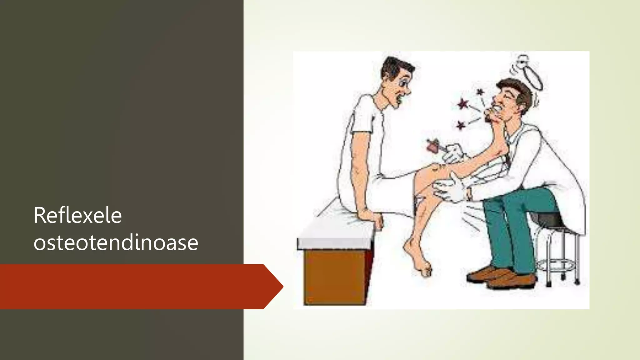 Reflexele osteotendinoase.pptx