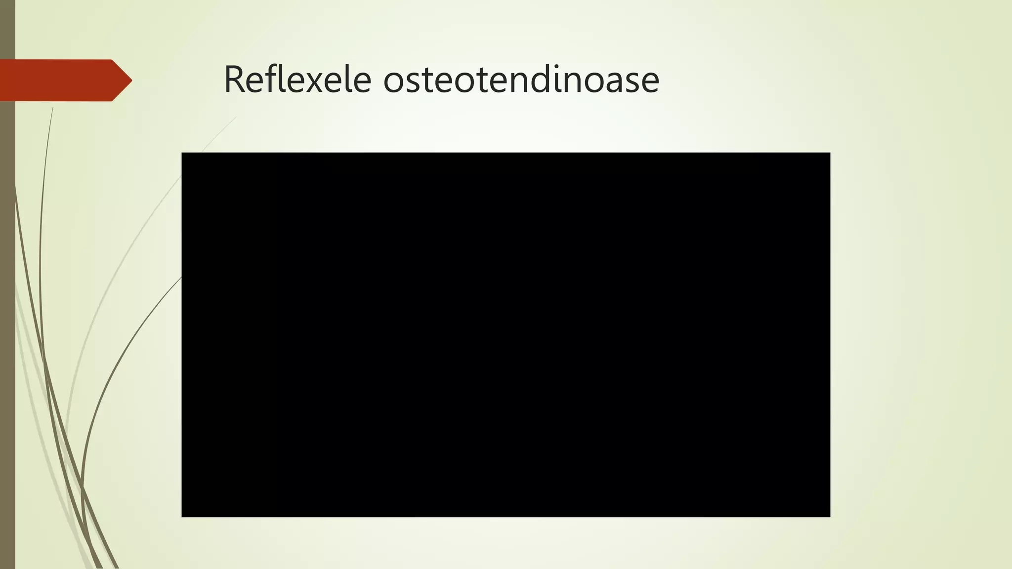 Reflexele osteotendinoase.pptx