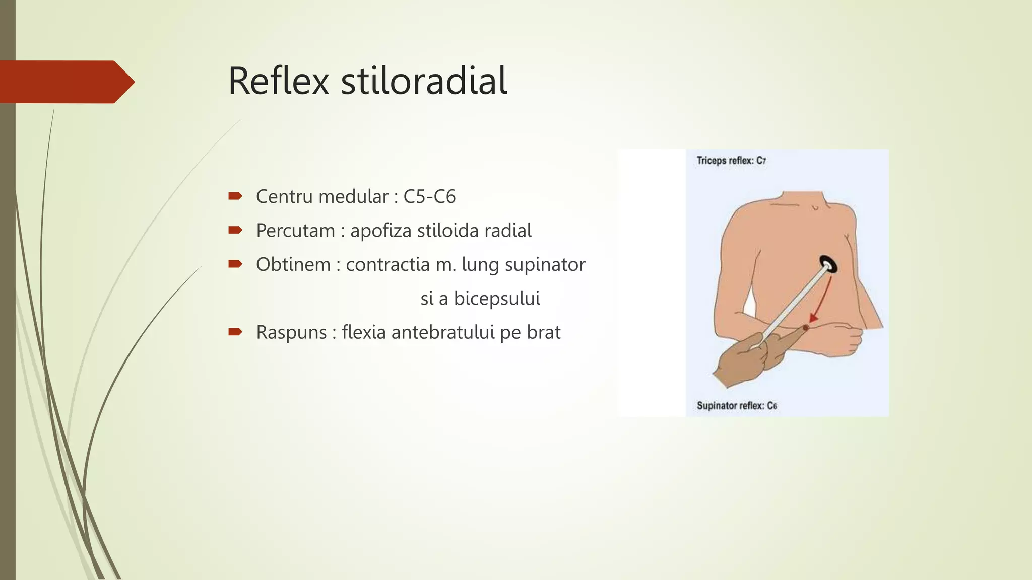 Reflexele osteotendinoase.pptx
