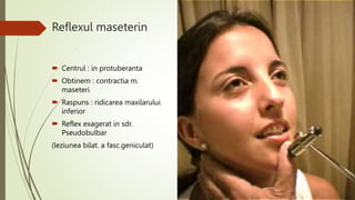 Reflexele osteotendinoase.pptx