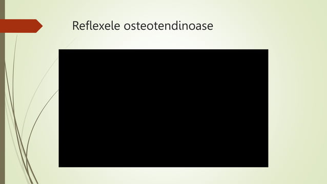 Reflexele osteotendinoase.pptx