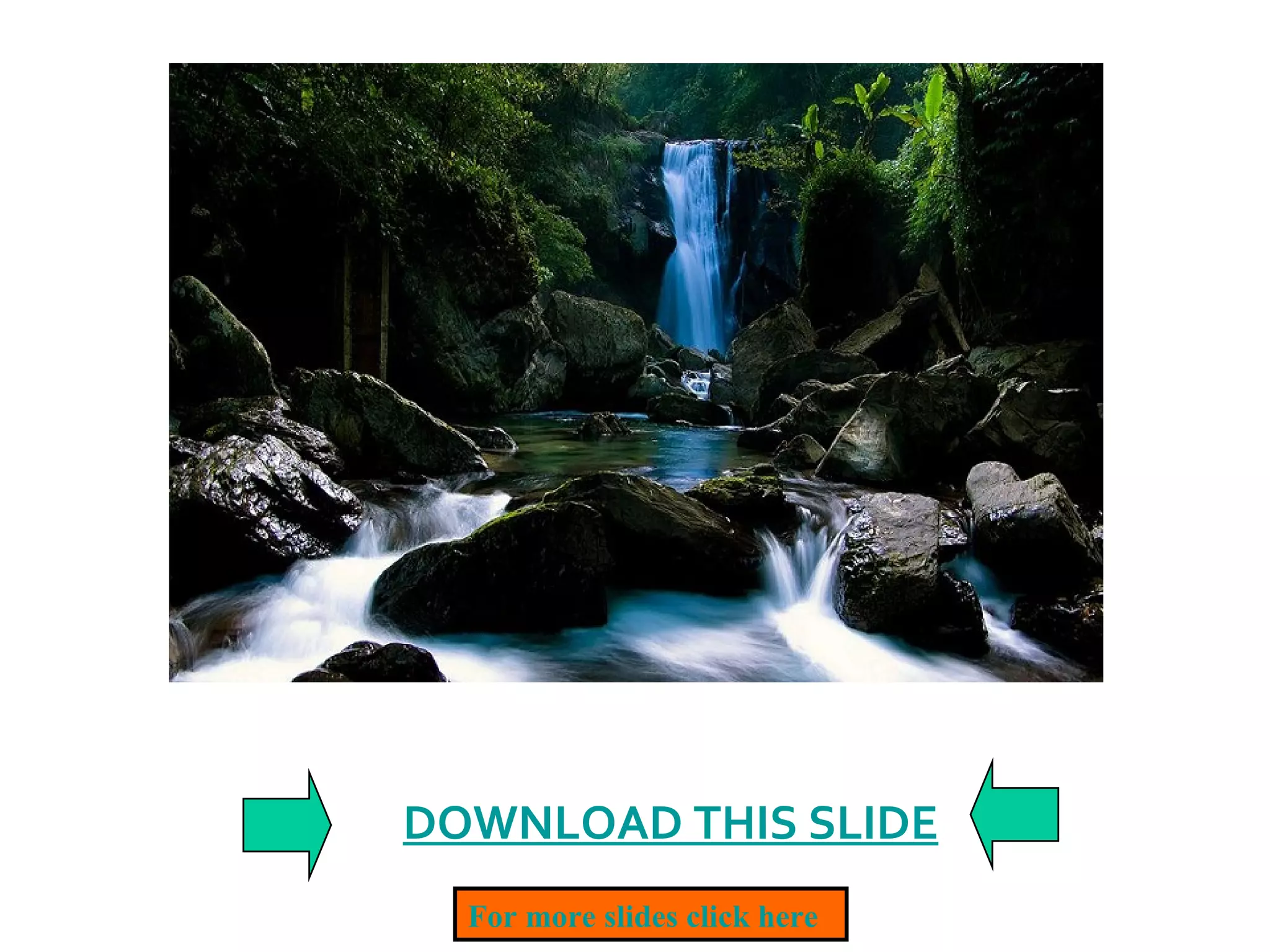 Reflexes, nervous system ppt | PPT