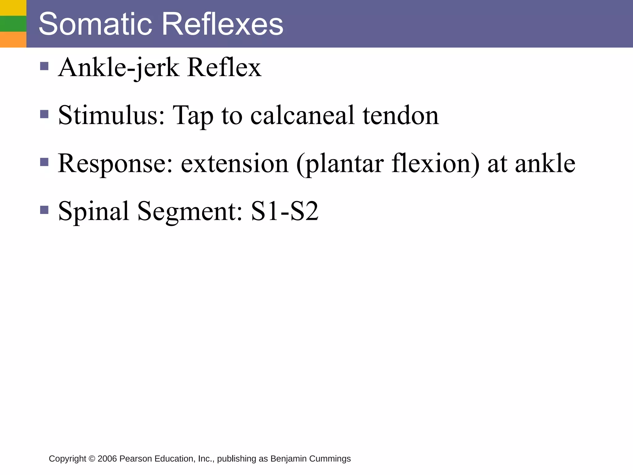 Reflexes, nervous system ppt | PPT