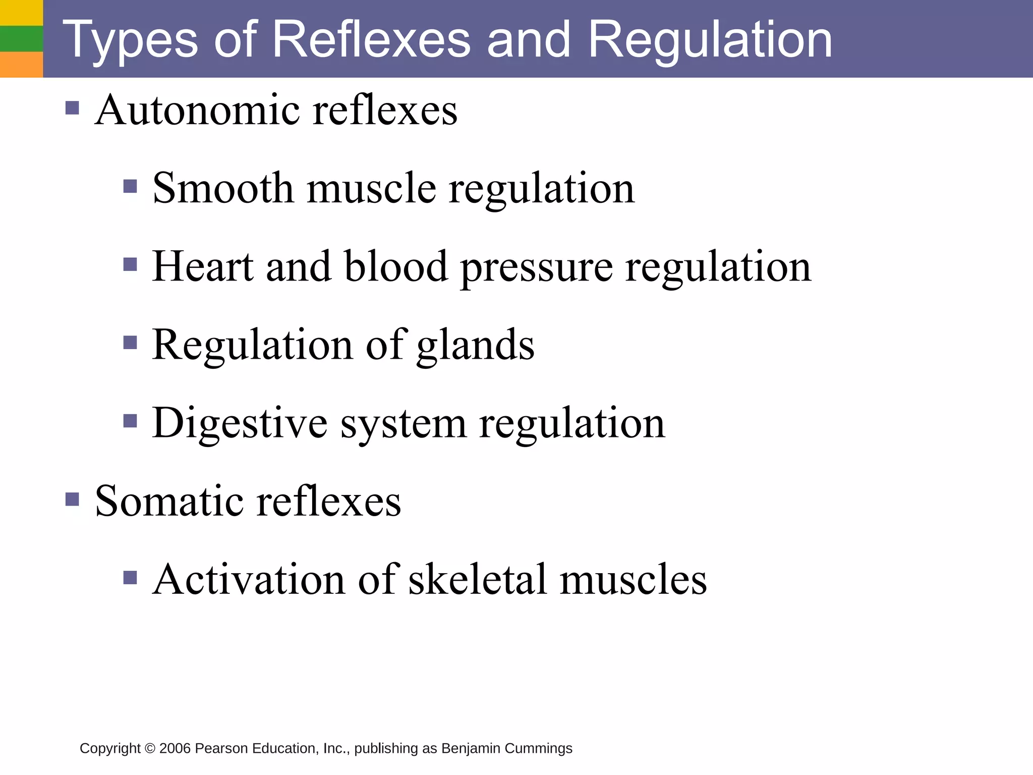 Reflexes, nervous system ppt | PPT
