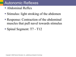 Reflexes, nervous system ppt | PPT