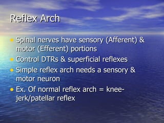 NurseReview.Org - Reflexes | PPT | Death, Injury, or Military Conflict ...