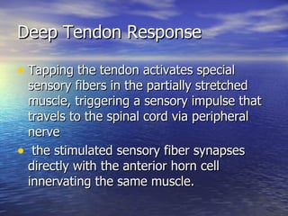 NurseReview.Org - Reflexes | PPT