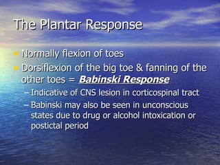 NurseReview.Org - Reflexes | PPT | Death, Injury, or Military Conflict ...