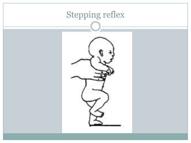 Reflexes | PPTX