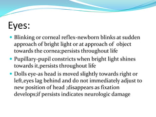 newbornReflexes | PPTX | Pregnancy | Reproductive Health