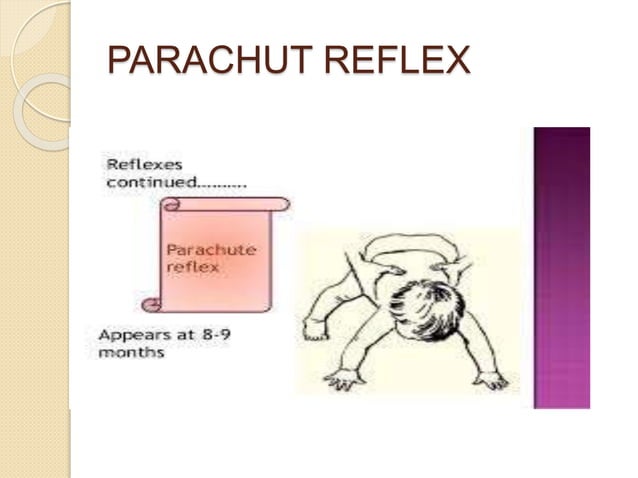 Reflexes | PPT