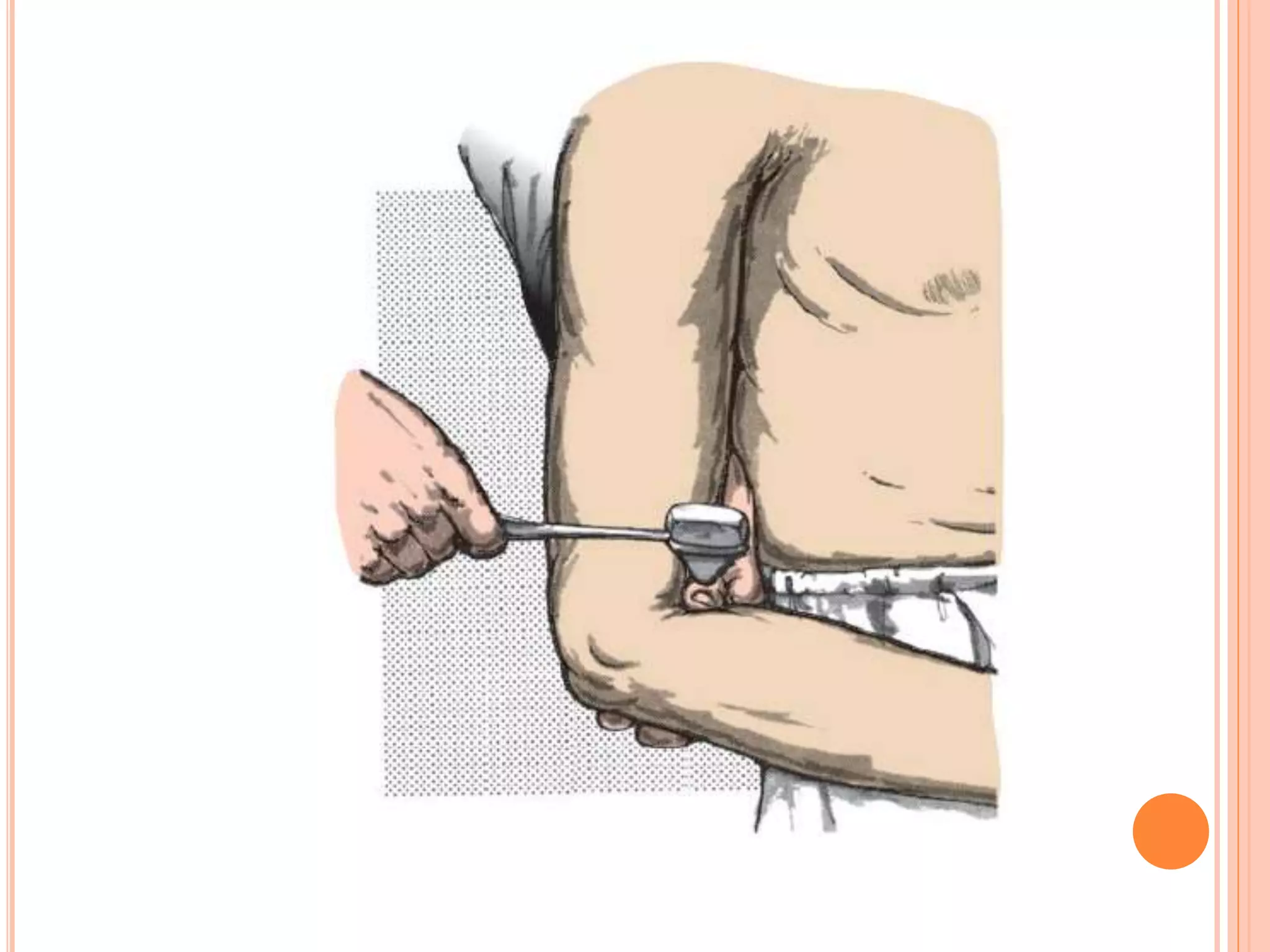 Reflexes - Superficial and Deep tendon reflexes | PPTX