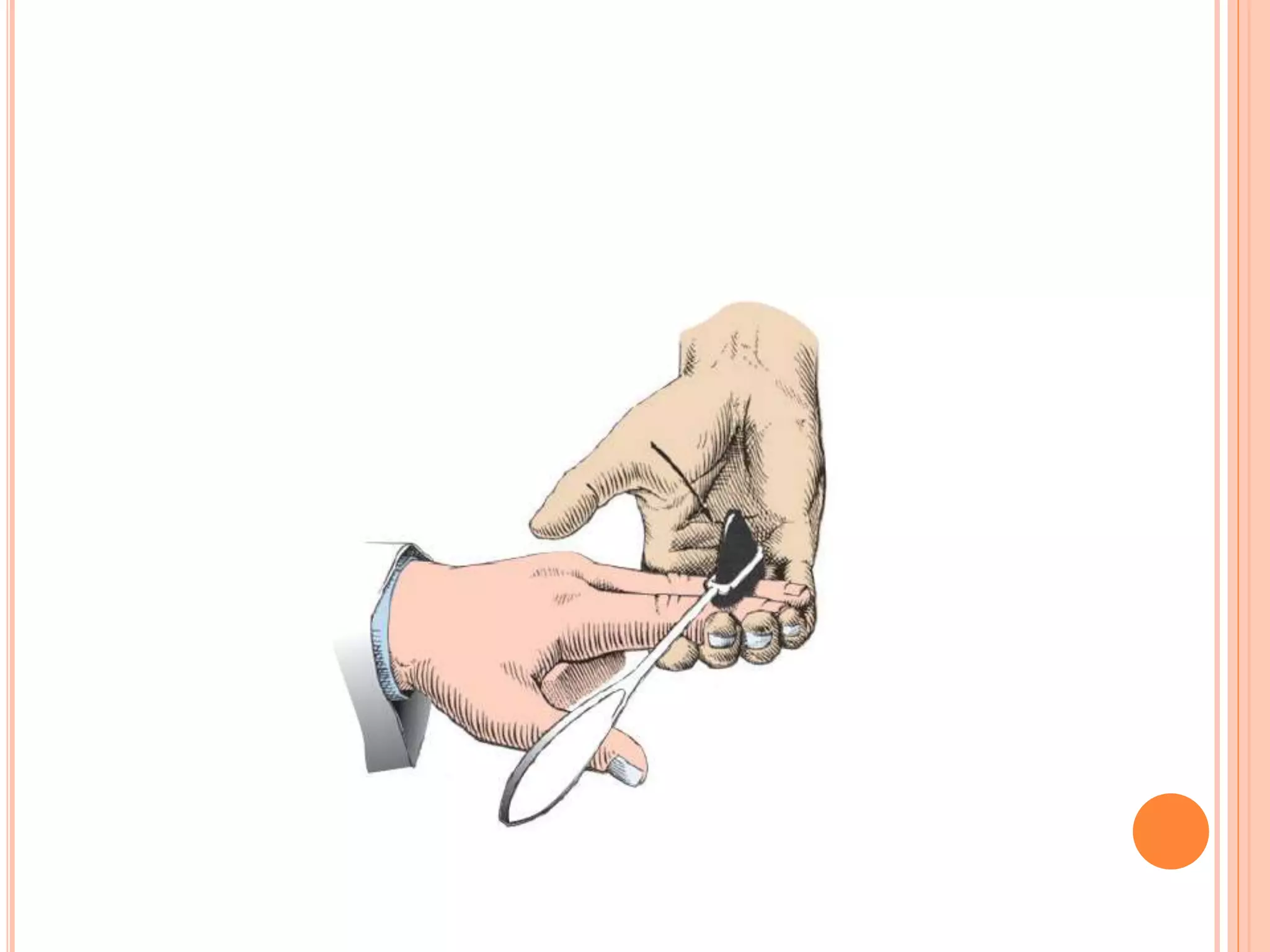 Reflexes - Superficial and Deep tendon reflexes | PPTX