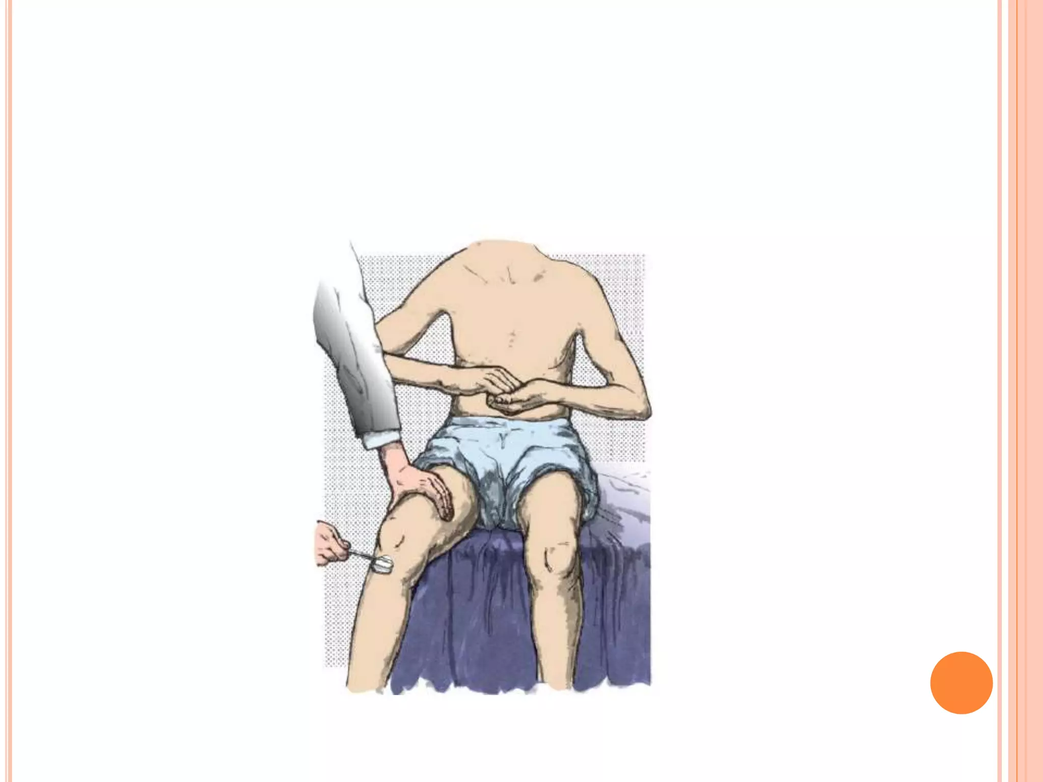 Reflexes - Superficial and Deep tendon reflexes | PPTX