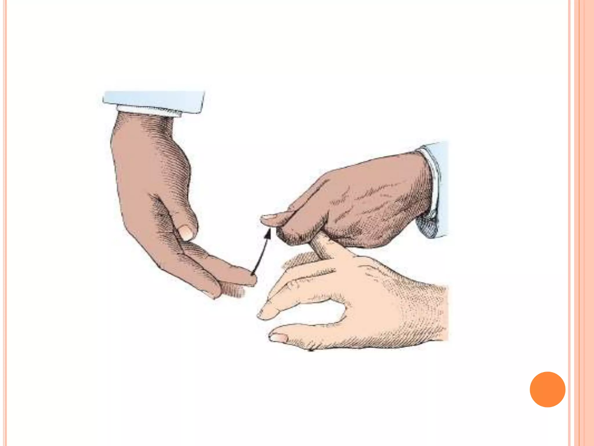 Reflexes - Superficial and Deep tendon reflexes | PPTX