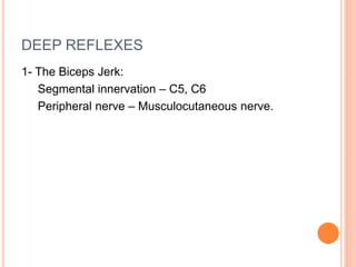 Reflexes - Superficial and Deep tendon reflexes | PPTX