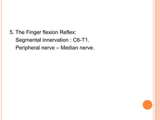Reflexes - Superficial and Deep tendon reflexes | PPTX