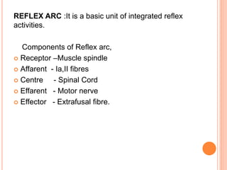 Deep Tendon Reflex Scale