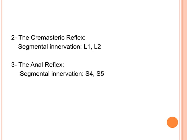 Reflexes - Superficial and Deep tendon reflexes | PPTX