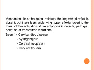 Reflexes - Superficial and Deep tendon reflexes | PPTX