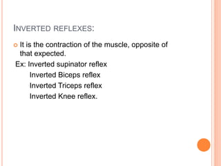 Supinator Reflex