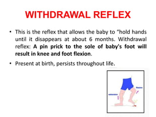 Flexor Withdrawal Reflex Baby