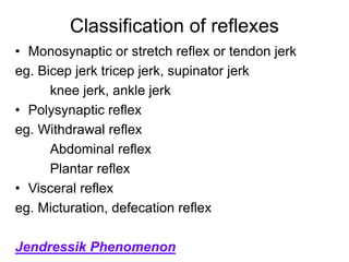 Reflexes.ppt